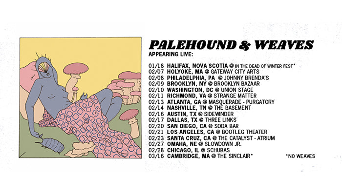 Palehound announces 2018 co-headline tour with Weaves | Polyvinyl ...