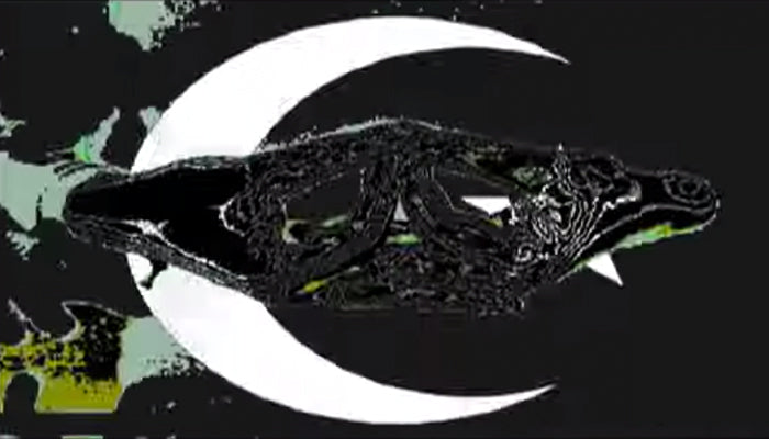 Watch New Xiu Xiu Music Video - "Silver Platter" | Polyvinyl Record Co.