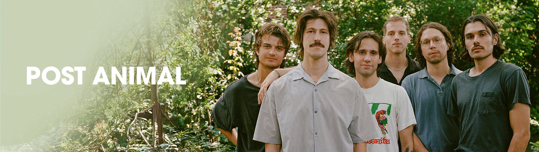 Post Animal Store | Polyvinyl Record Co.