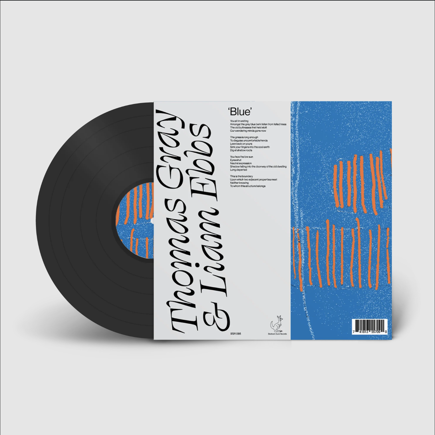 Thomas Gray & Liam Ebbs - Blue | Polyvinyl Record Co.
