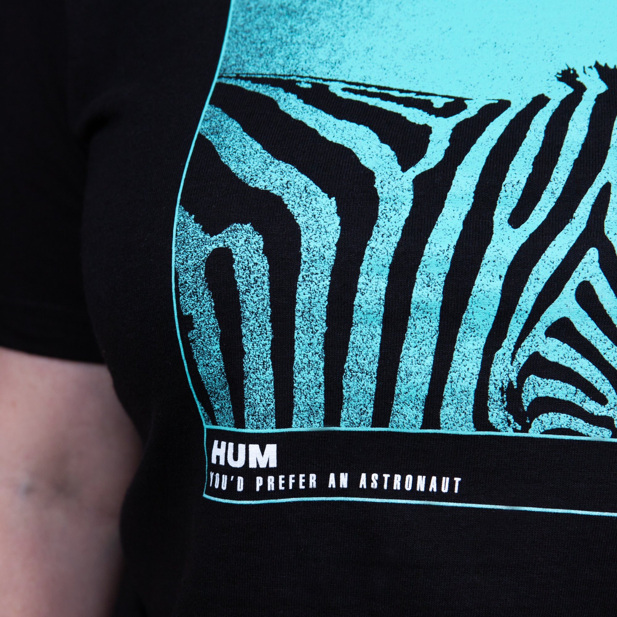 Hum - Zebra T-Shirt | Polyvinyl Record Co.