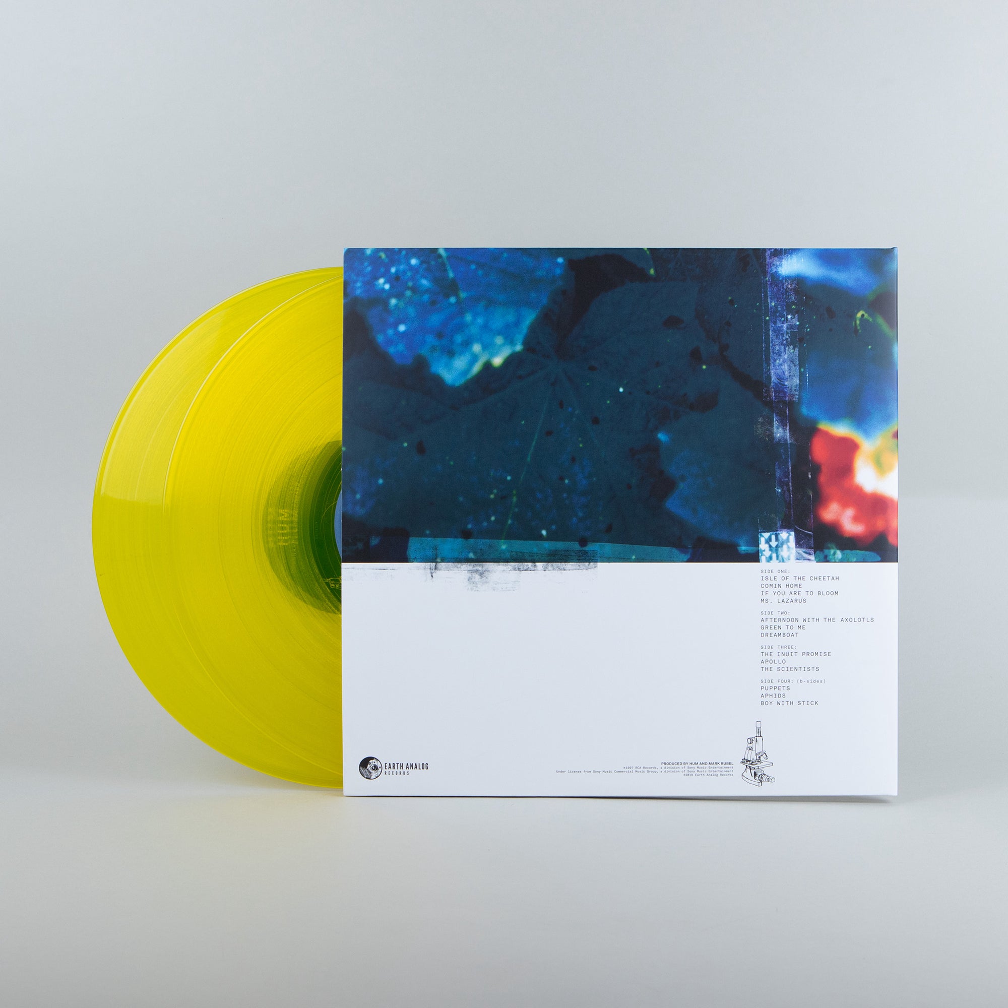 Hum - Downward Is Heavenward | Polyvinyl Record Co.