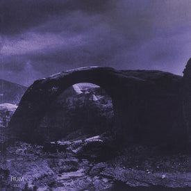 Hum Store | Polyvinyl Record Co.